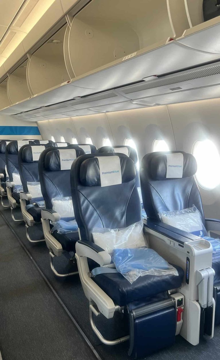 French Bee Premium Economy Review: Worth It to Paris? — LiAnn and Theo ...