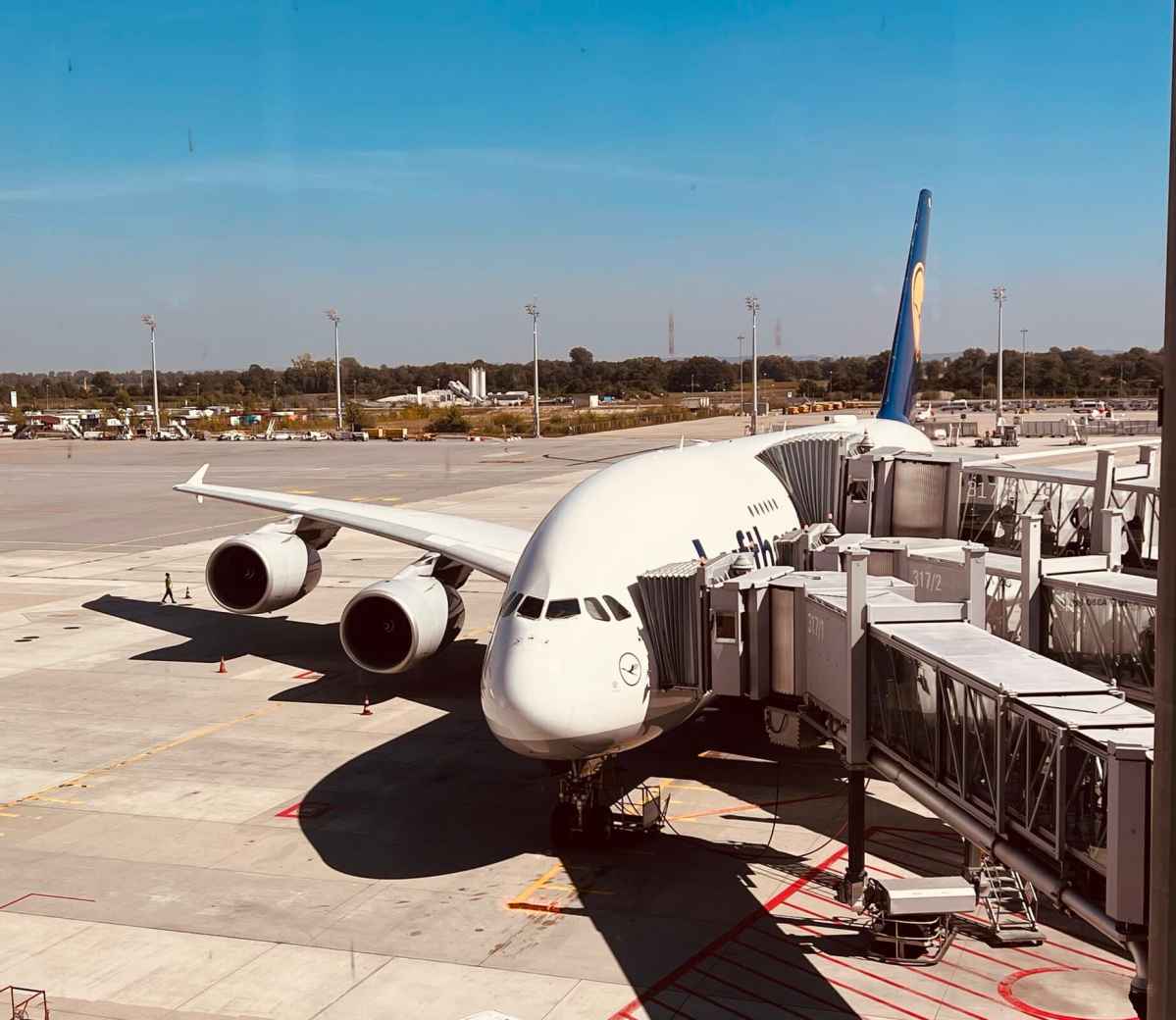 TSA PreCheck, Global Entry, and Clear: Which Is Actually Worth It ...