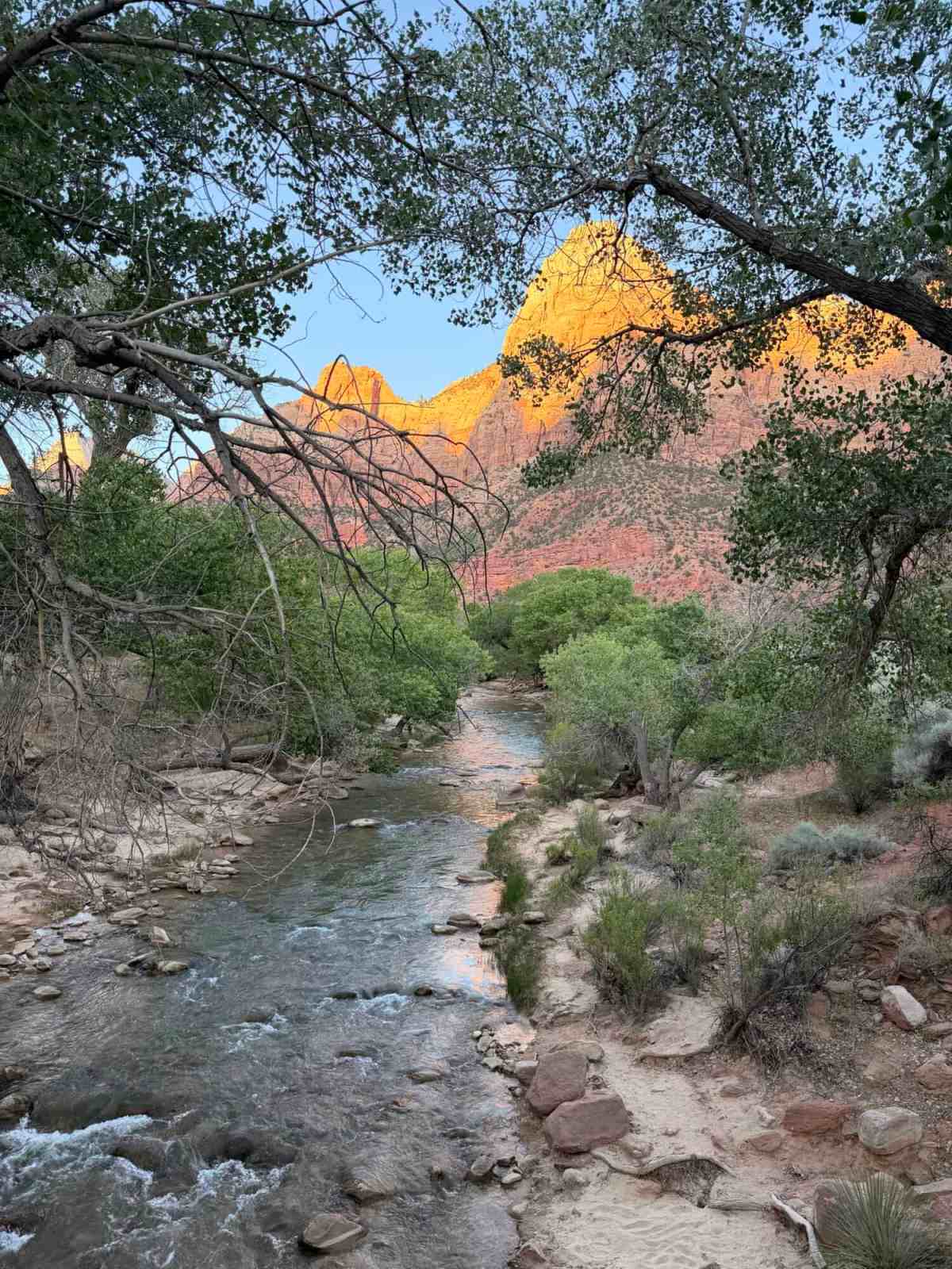 Best Hotels Near Zion National Park: Top Picks in Springdale and Inside ...