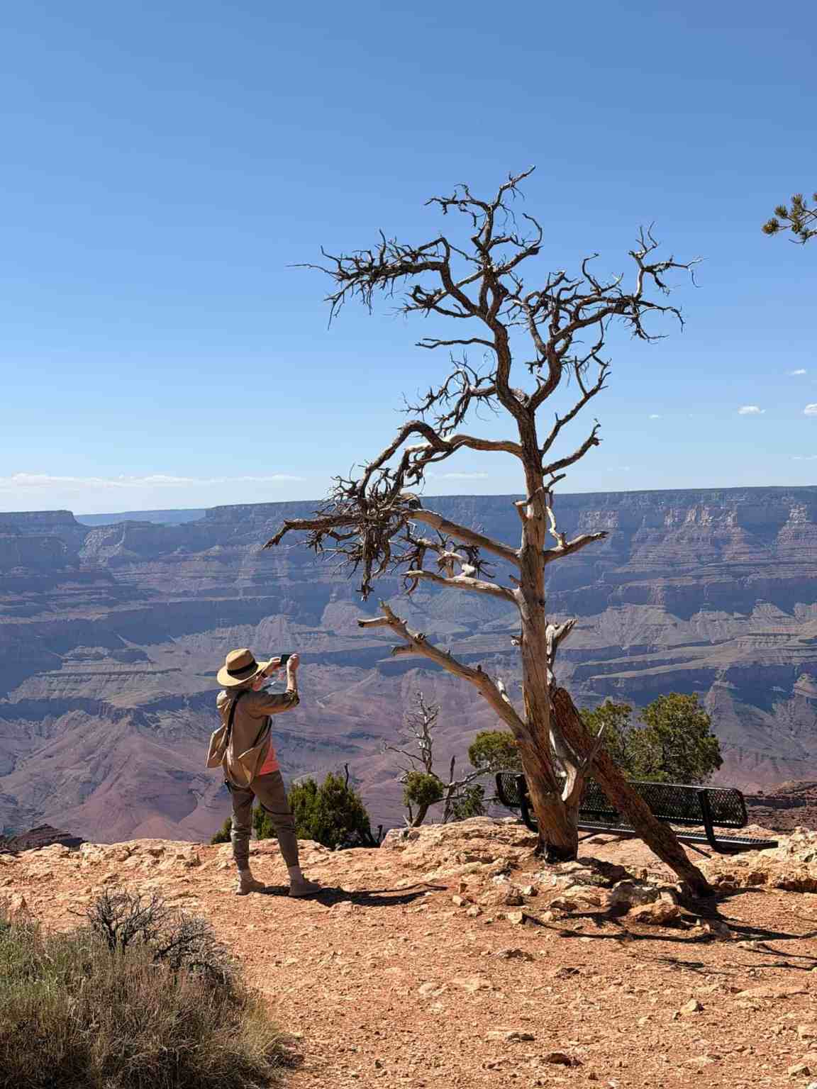 Best Grand Canyon South Rim Itinerary for First-Time Visitors — LiAnn ...