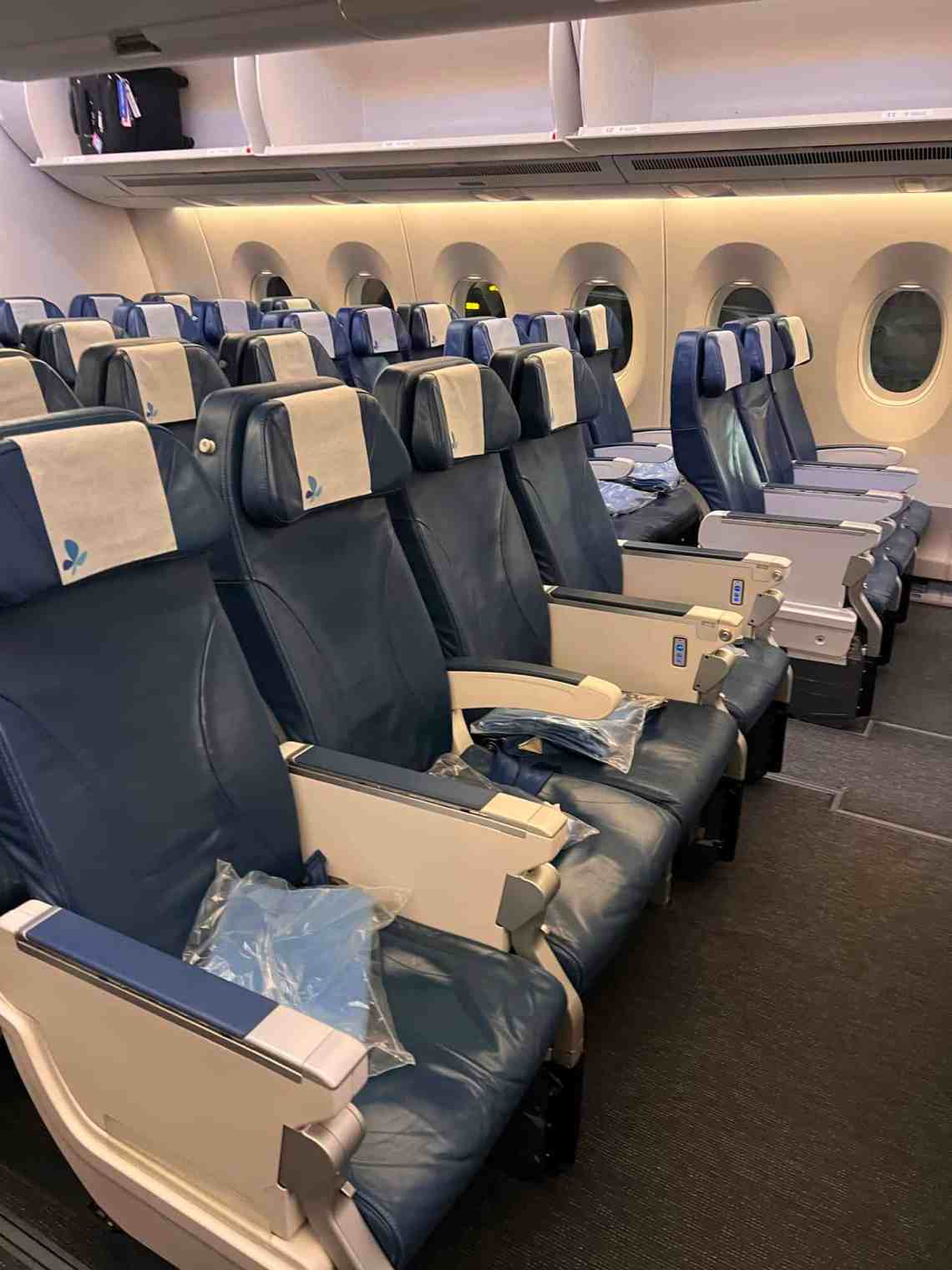 French Bee Premium Economy Review: Everything You Need to Know Before ...