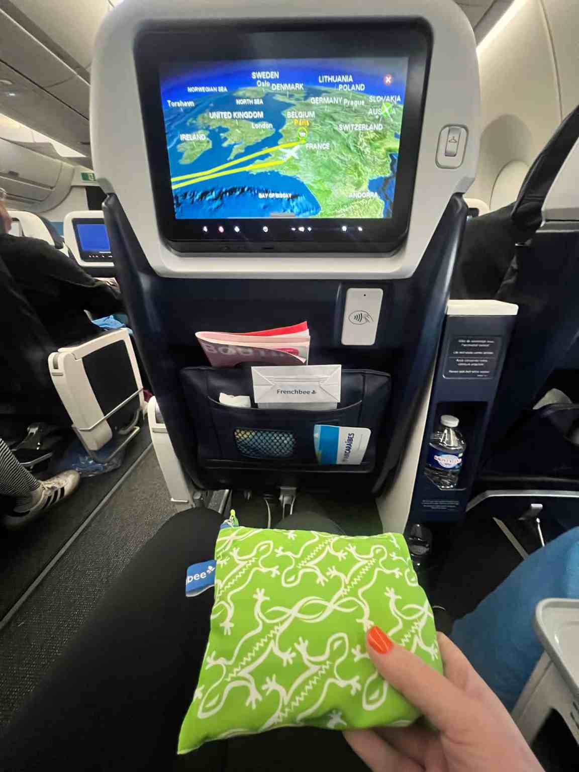 French Bee Premium Economy Review: Everything You Need to Know Before ...