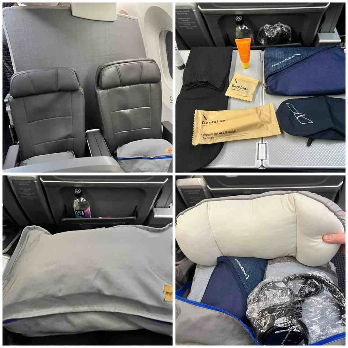 French Bee Premium Economy Review: Everything You Need to Know Before ...